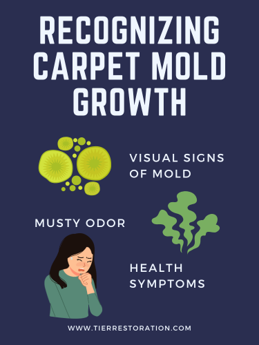 Mold in Carpet: Identify, Risks, and Best Removal Guide - Tier Restoration